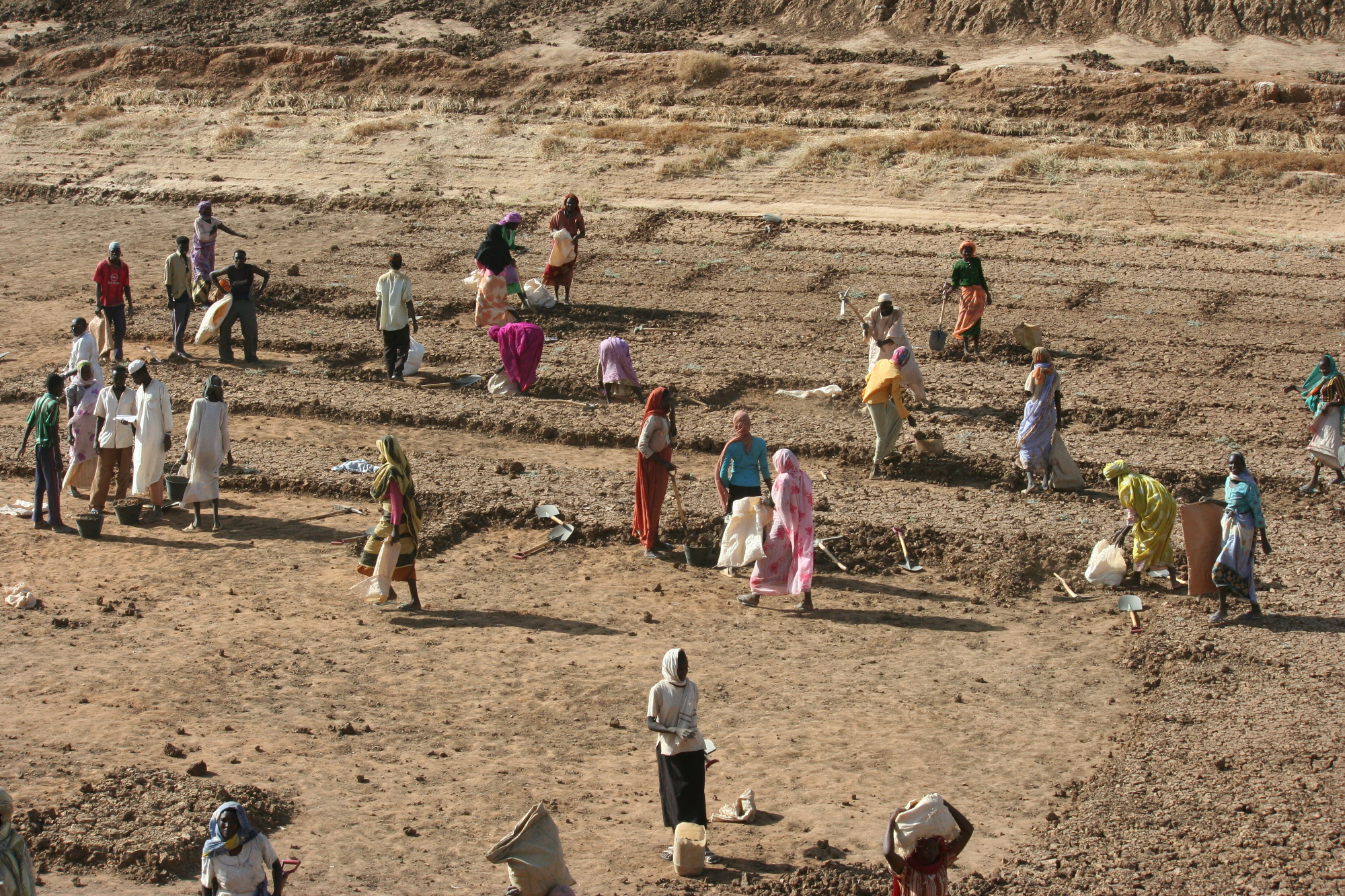 Strengthening the resilience to climate change of local communities in ...