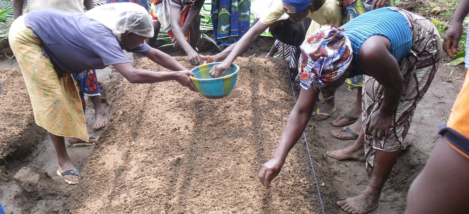Enhancing food security by supporting agricultural value chains | COOPI