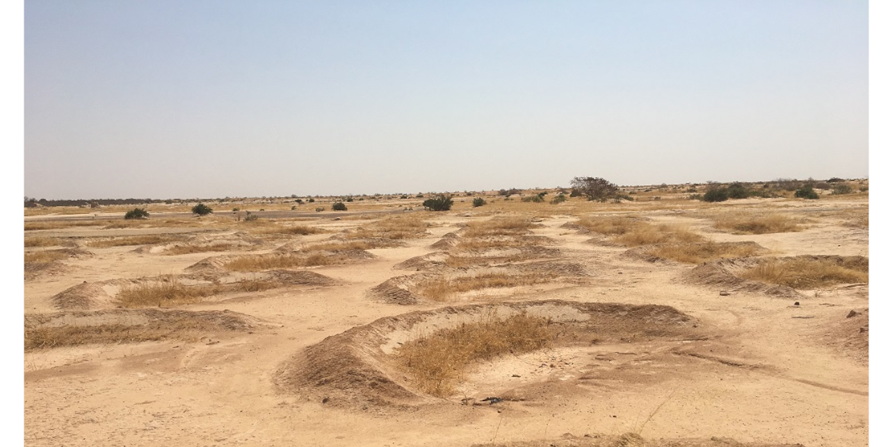 Niger: half-moon basins to stop drought | COOPI