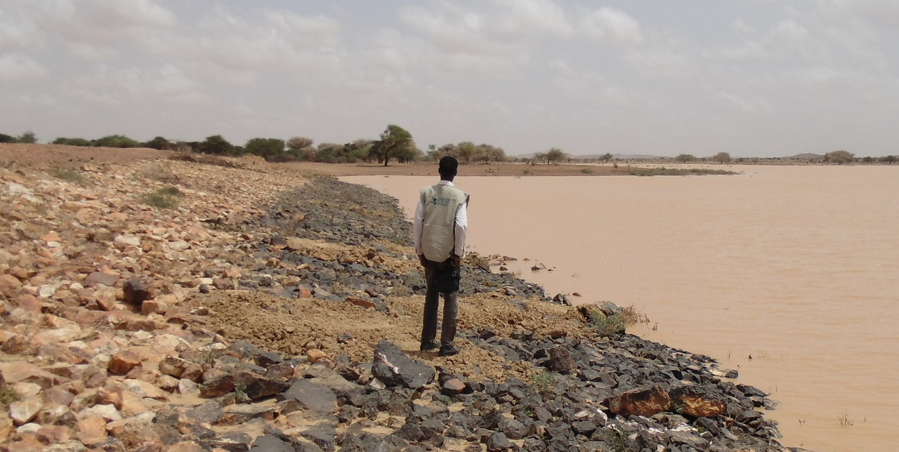 North Darfur: a project to tackle climate change | COOPI