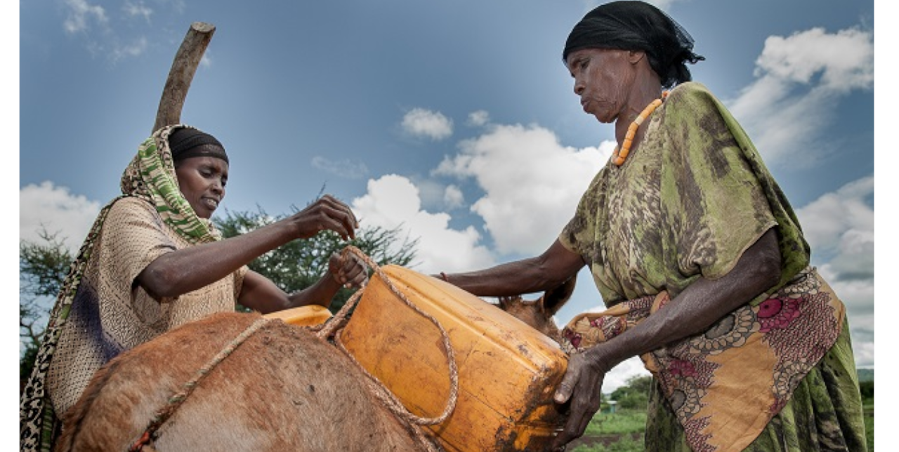 Joint forces to rehabilitate the spring of Adu Kebele | COOPI