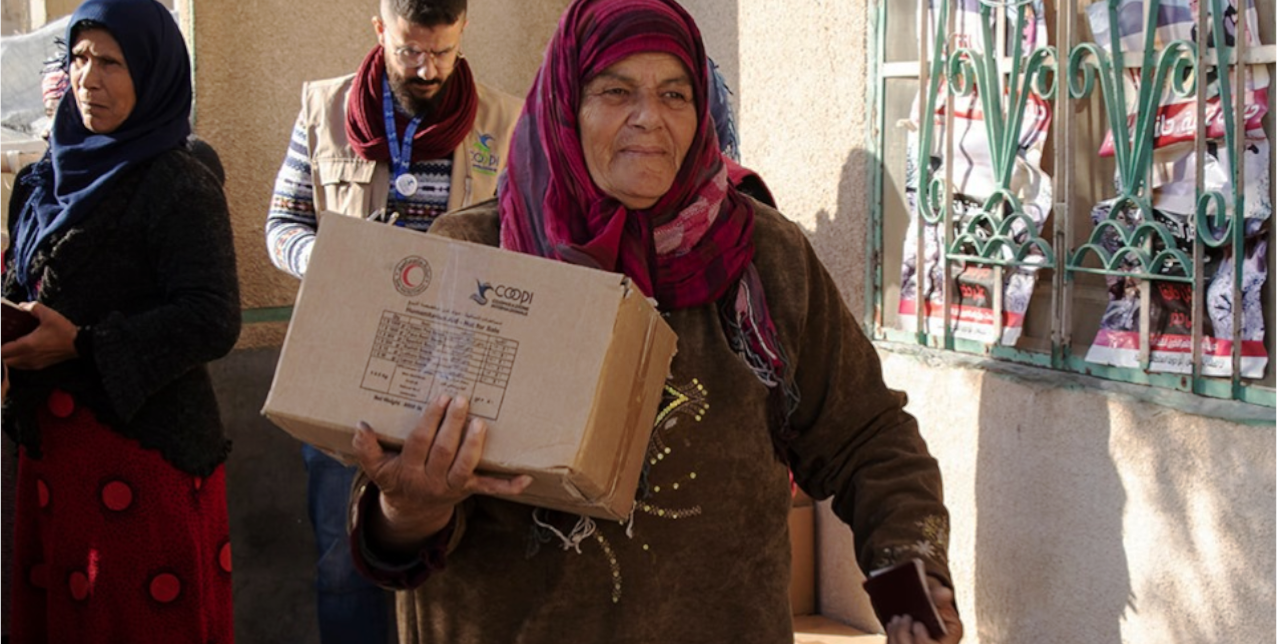 Syria. Seed distribution to secure food during COVID19 times | COOPI