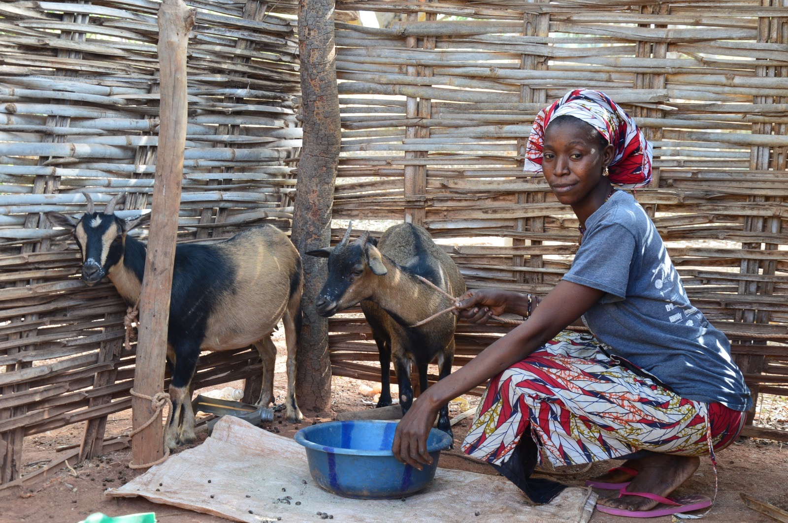 COVID-19. COOPI launches an assessment on food security and livelihoods ...