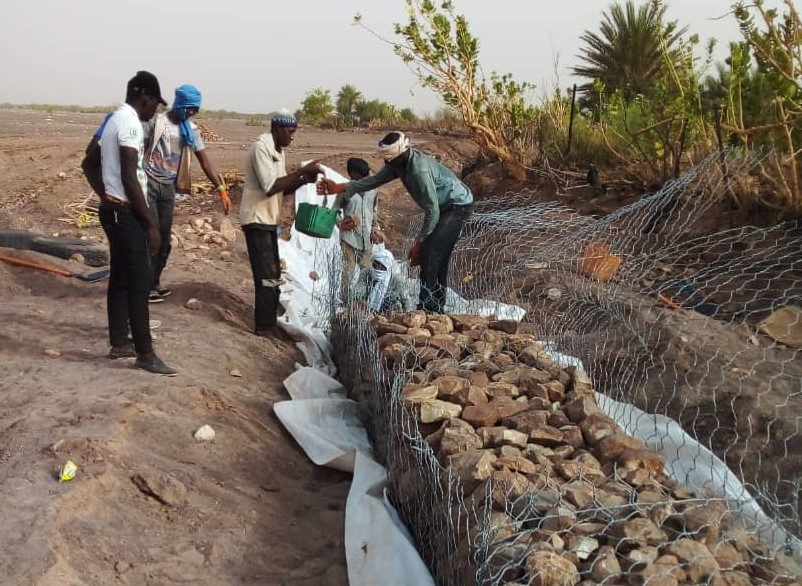Mauritania. Building rural infrastructure through social engineering ...