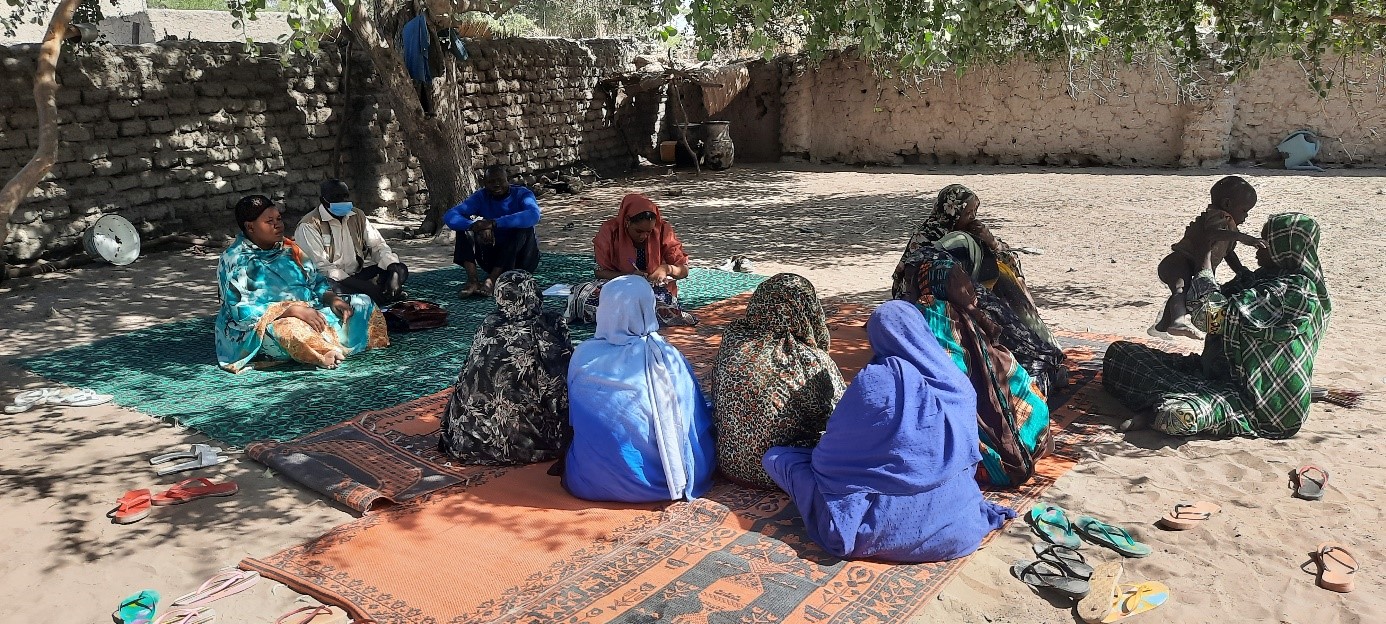 Lake Chad. Together with AICS, against desertification | COOPI