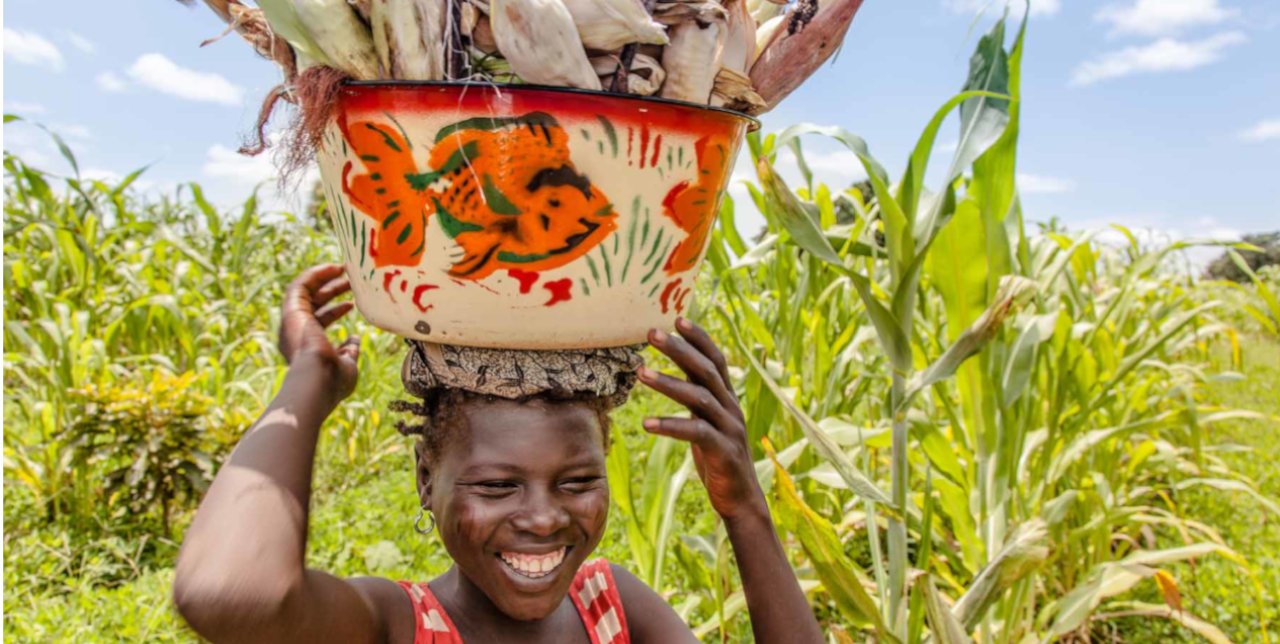 Ten years of Coopi Suisse | COOPI