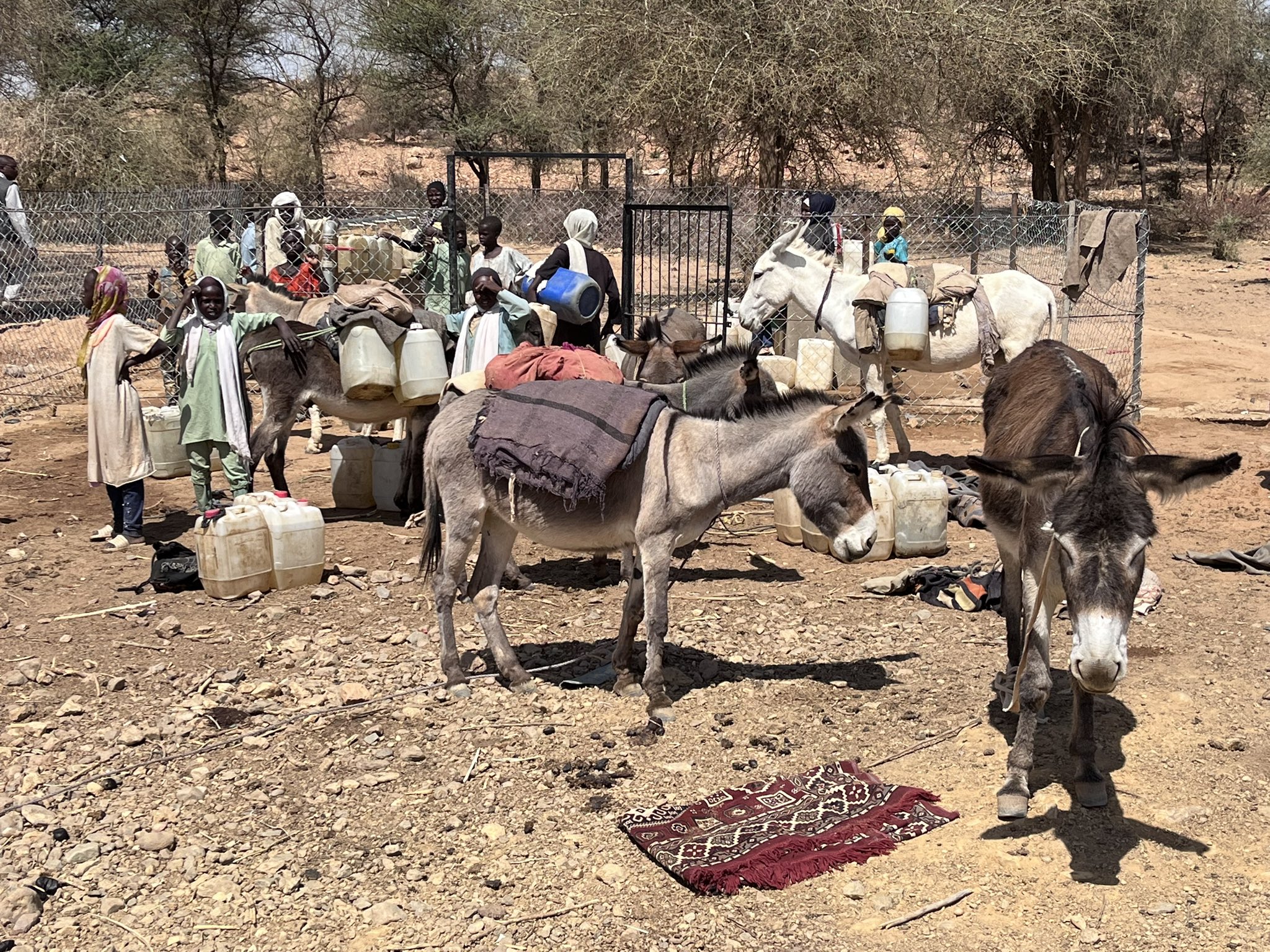 Conflict and Hunger in Sudan: an NGO call to action | COOPI