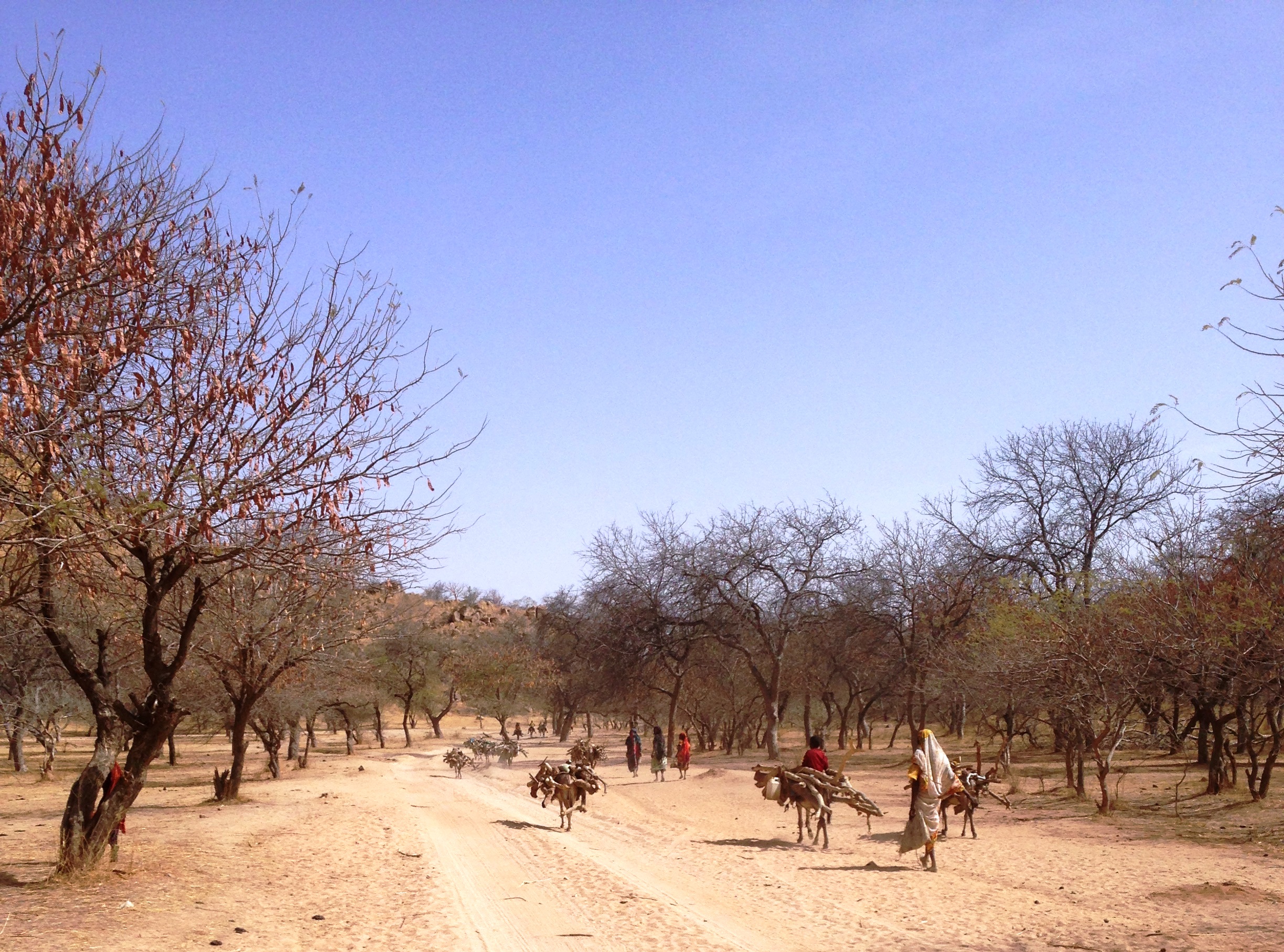 Ciad: le radici della malnutrizione | COOPI